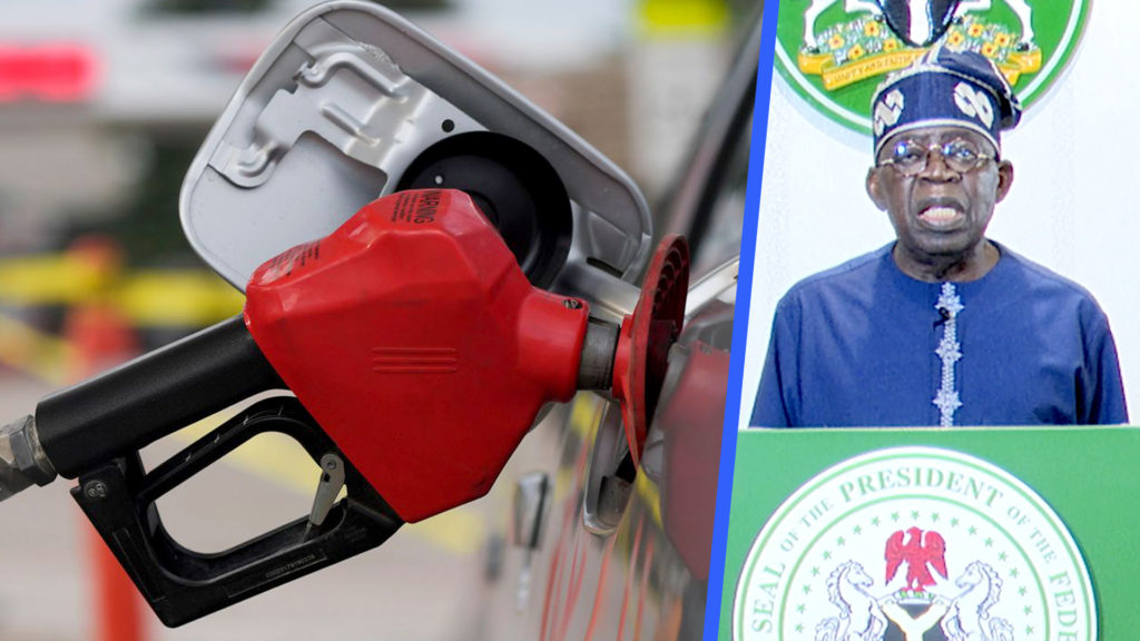 Tinubu Should Have Removed Petrol Subsidy Gradually, Says Ex-NESG Chair - ENERGY PLANET